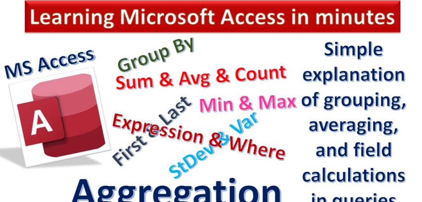 Totals and Aggregate Query in MS Access | Fares Solution